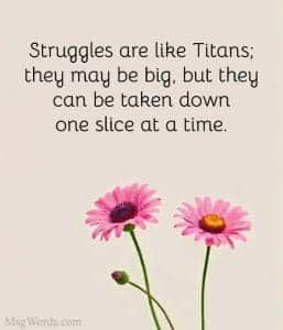 Top 35+ Motivational Quotes About Life and Struggles
