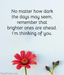 Top 35+ Thinking of You at This Difficult Time Messages