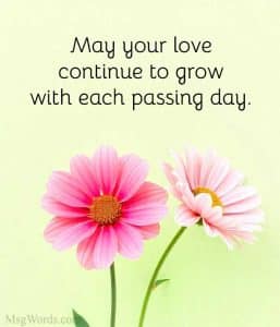 Top 25+ Romantic Congratulations Messages for Wedding