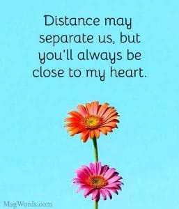 15+ Farewell Messages for Friends - Heartfelt Words