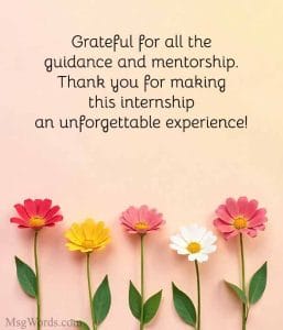 20+ Best Thank You Messages for Internship - MsgWords