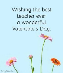 20+ Best Valentine Messages for Teachers - MsgWords