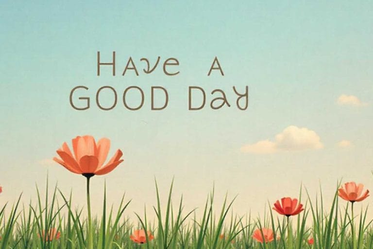 30+ Good Morning Quotes on Friday to Start Your Weekend