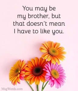 Best 55+ Funny Quotes for Brother from Sister