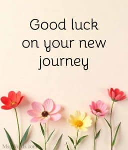 Best 25+ Good Luck Wishes for Future Career