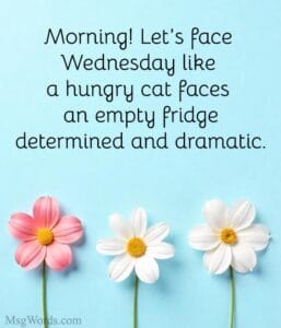 70+ Cheerful Wednesday Good Morning Messages