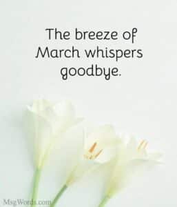 30+ Last Day of March Quotes to Celebrate New Beginnings