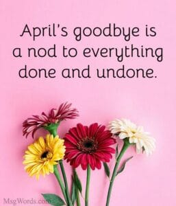 Top 60+ Last Day of April Quotes - MsgWords