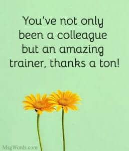 55+ Thoughtful Thank You Messages for Trainer - MsgWords