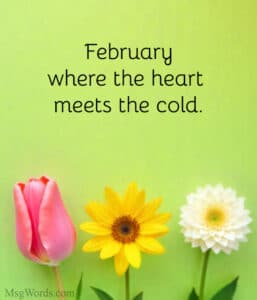 45+ Perfect February Captions for Instagram Posts