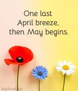 Top 60+ Last Day of April Quotes - MsgWords