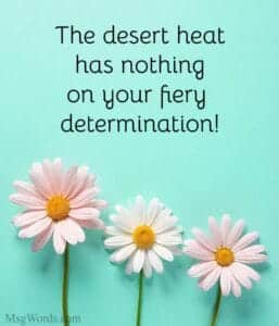 Best 25+ Cheer Up Messages to a Friend - MsgWords