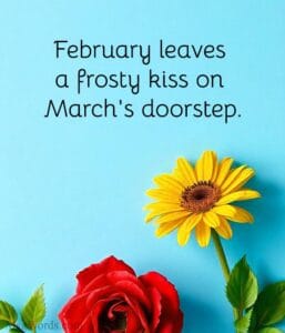 Best 15+ End of February Quotes to Welcome March