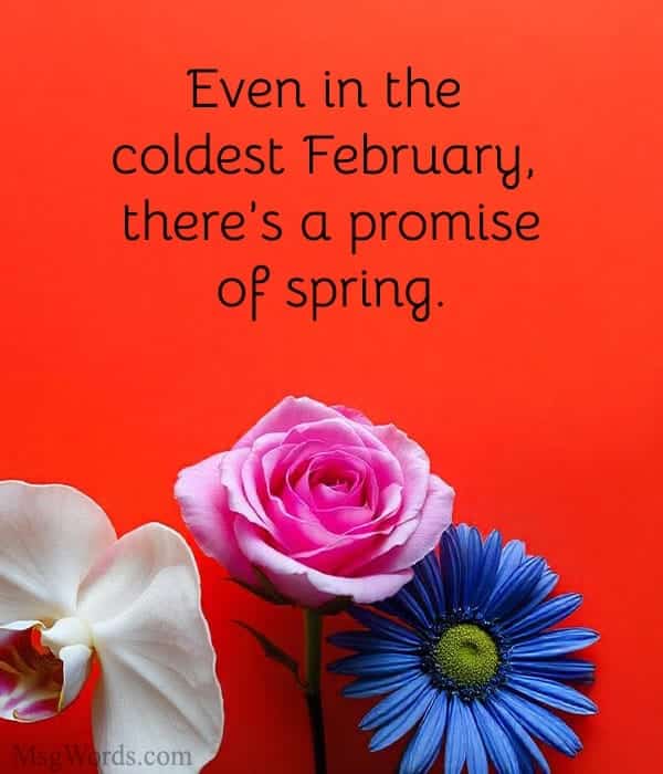 20+ Inspirational February Quotes to Start Fresh - MsgWords
