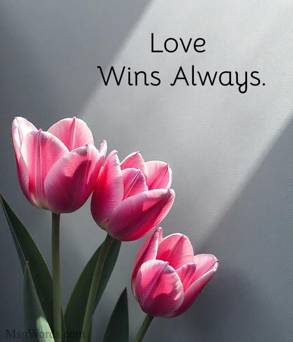 30+ Valentine Candy Messages for a Sweet Day - MsgWords