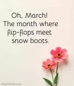 65+ Cheerful Welcome March Quotes - MsgWords