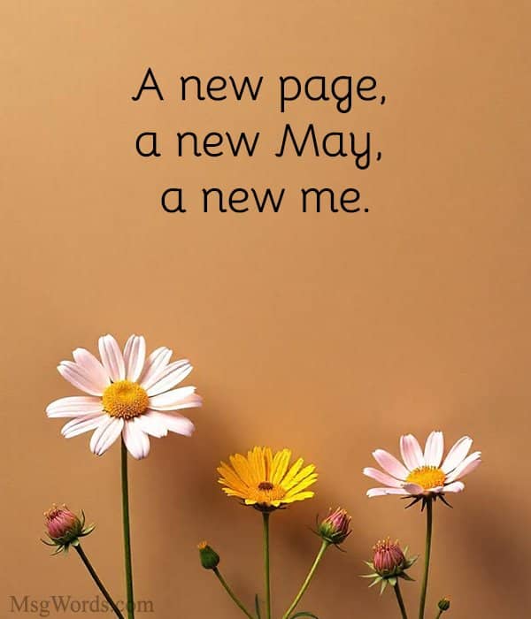 Amazing 30+ First Day of May Quotes - MsgWords