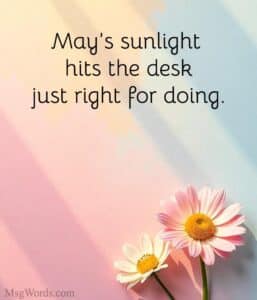 20+ Motivational May Quotes for Work - MsgWords