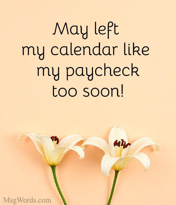 Top 20+ End of May Quotes to Wrap Up the Month