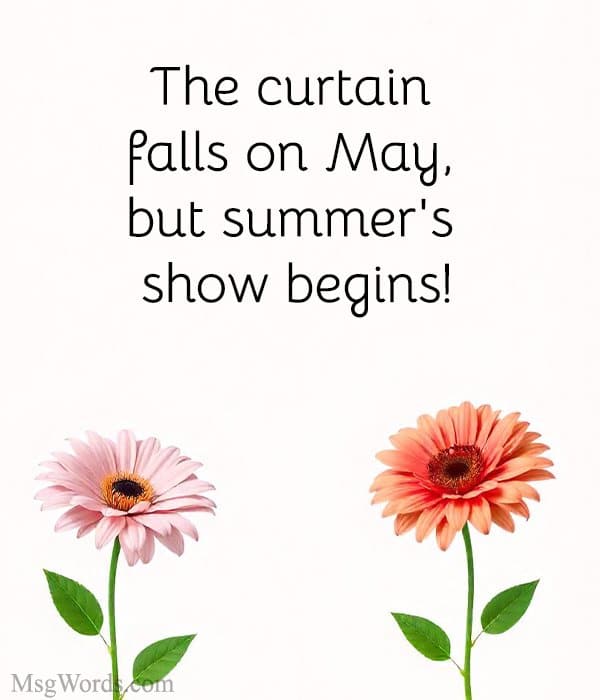 Top 20+ End of May Quotes to Wrap Up the Month