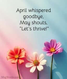 Top 60+ Goodbye April Hello May Quotes for a Fresh Start