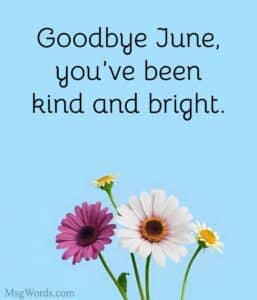 Top 30+ Goodbye June Quotes to Move Forward
