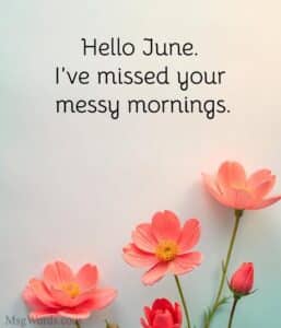 Best 20+ Hello June Quotes to Welcome a New Month