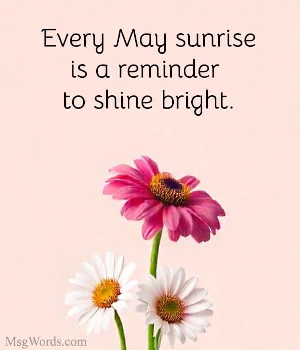 Best 30+ Beautiful May Quotes to Celebrate Spring