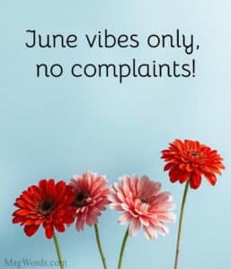 Top 20+ June Captions for Instagram to Brighten Your Feed