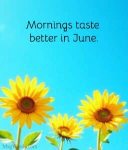Top 30+ June Quotes for Calendars to Inspire Your Month