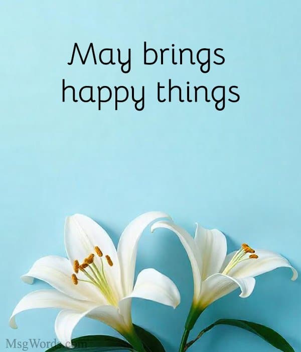 Top 30+ May Captions for Instagram to Shine This Spring