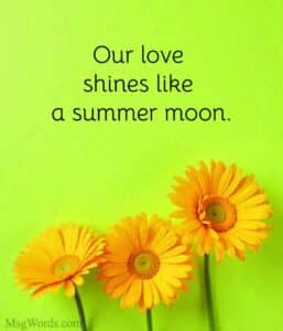 Best 20+ Short June Quotes to Brighten Your Month