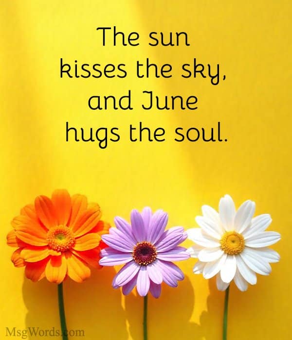 Best 25+ Welcome June Quotes to Embrace Summer
