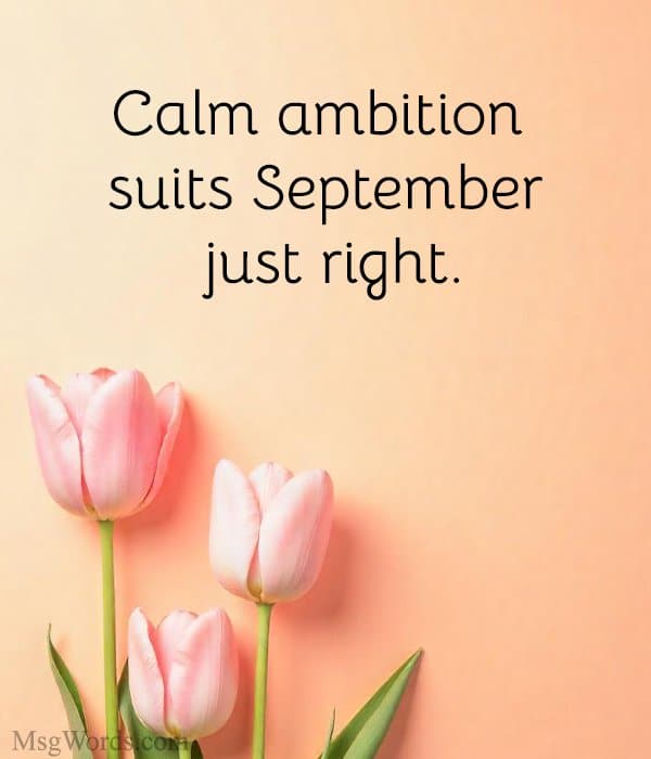 35+ Positive September Quotes and Messages - MsgWords
