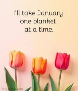 Best 35+ Welcome January Quotes and Messages