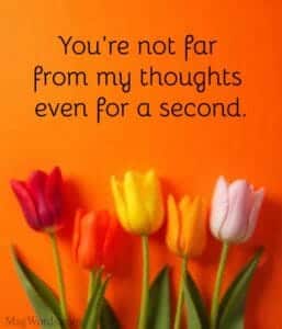 Top 35+ Condolence Messages to a Friend - MsgWords