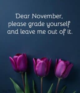 35+ Funny November Quotes and Messages - MsgWords