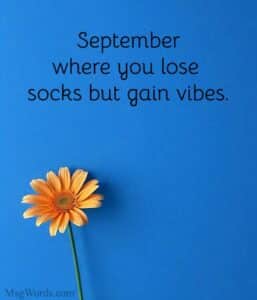 Top 20+ Good Morning September Quotes and Messages