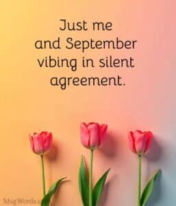 40+ Hello September Quotes and Messages - MsgWords