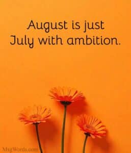 Best 35+ Inspirational August Quotes and Messages