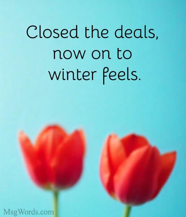 Top 35+ Last Day of November Quotes and Messages
