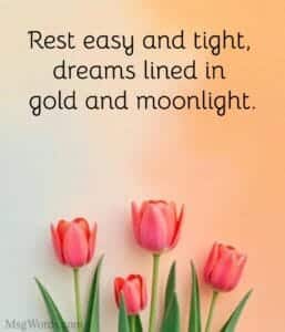 40+ Good Night Messages for Friends - MsgWords