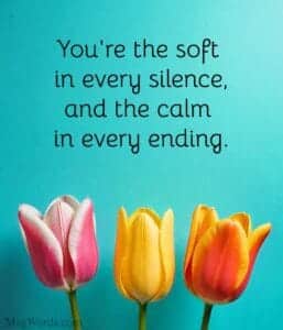 25+ Good Night Messages to My Love - MsgWords