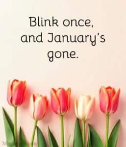 Best 25+ Last Day of January Quotes and Messages
