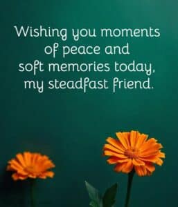 Best 40+ Memorial Day Messages for Friend - MsgWords