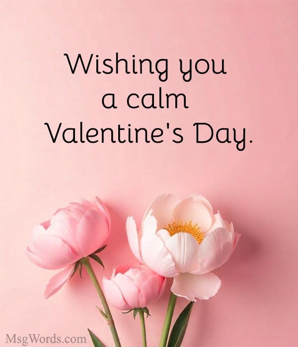 24 Valentine's Day Messages for Strangers to Share Joy